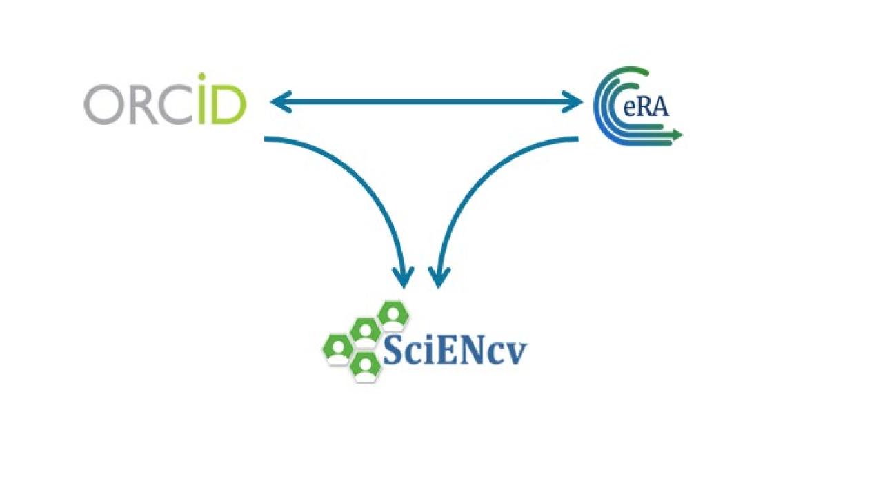💡 Grant Writing Tip: Preparing for NIH’s Shift to the Common Form ...